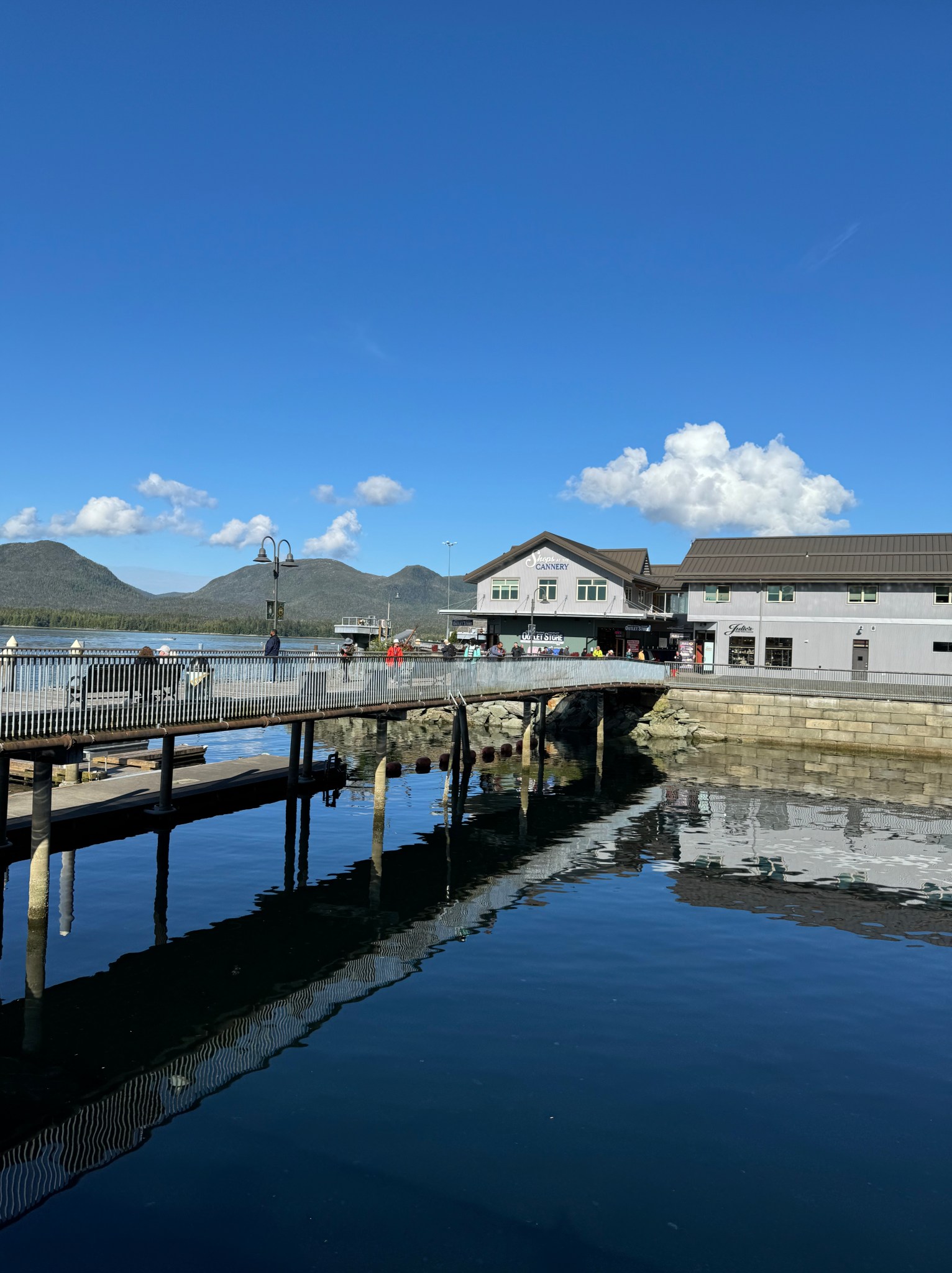 Tips for Planning Your NCL Alaska Cruise – BK Travel Collage